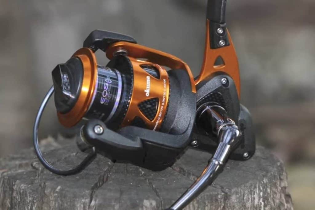 The 10 Best Spinning Reels in 2025 - Buyers Guide